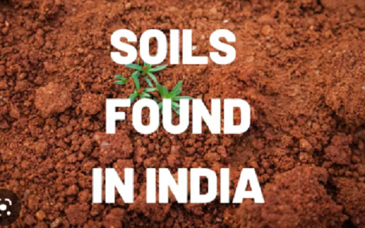 Soils Found In India